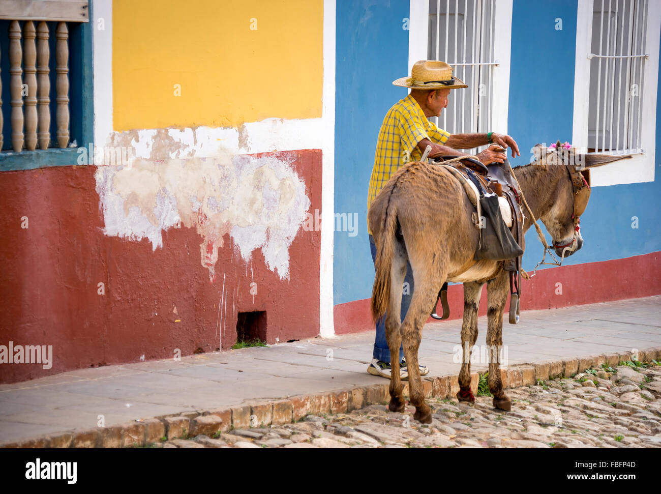 man and his donkey on the streets of trinidad,cuba Stock Photo - Alamy