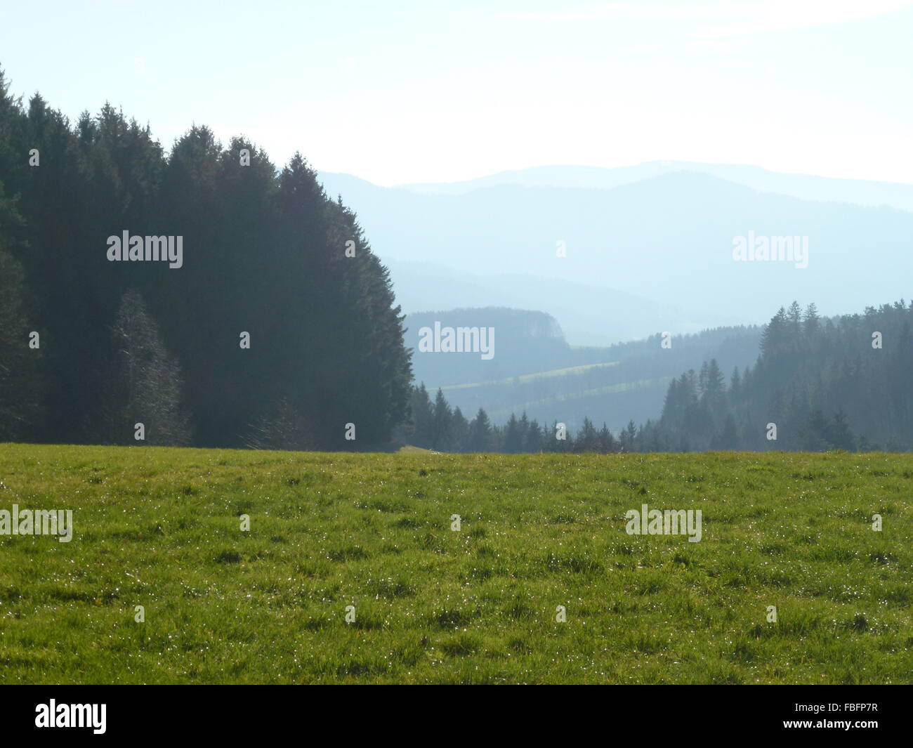 Elzach, Germany. 27th Dec, 2015. Mountains in the Black Forest ...