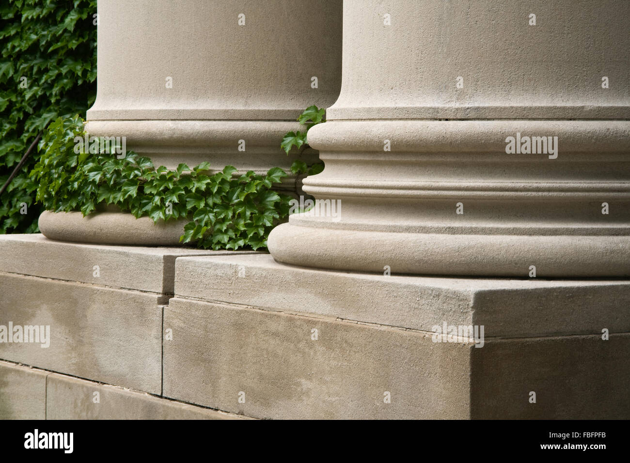 Greek column ivy hi-res stock photography and images - Alamy