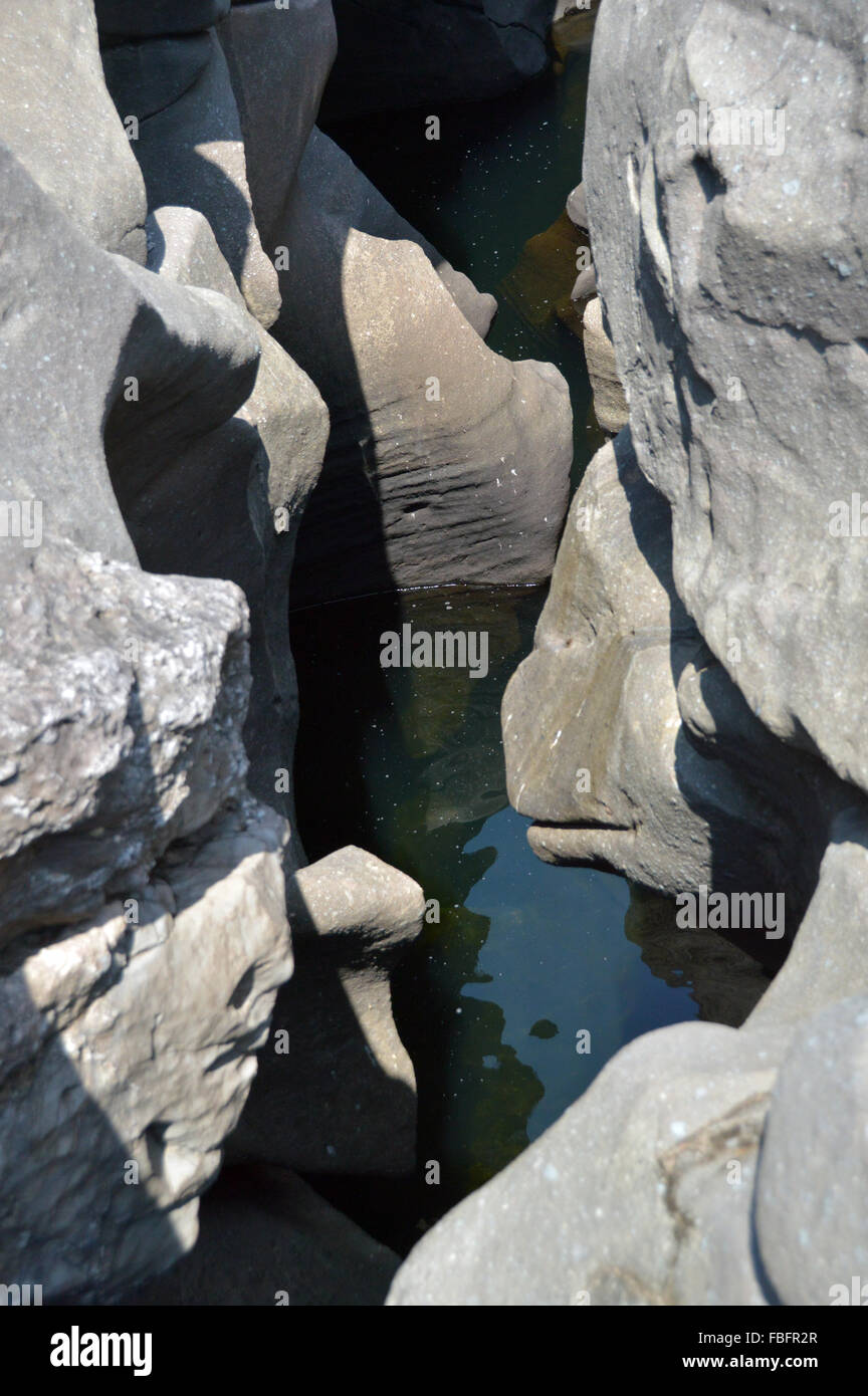 Primitive landscape,chapada dos veadeiros, Brazil, cerrado, flora ...