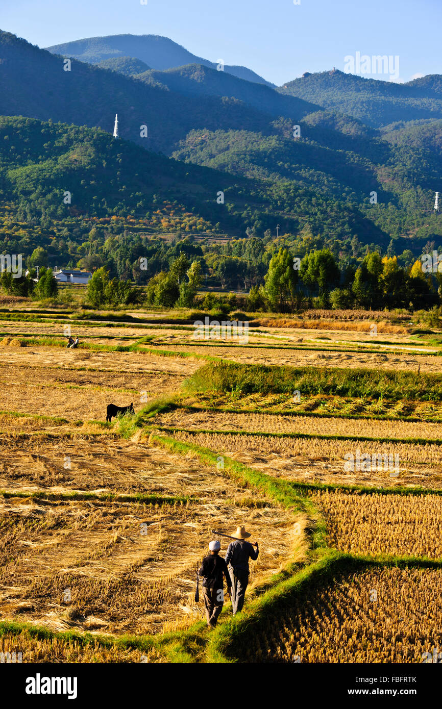 Old Theatre Inn,Village,surrounding countryside,Jiang River,Duanjiadeng ...