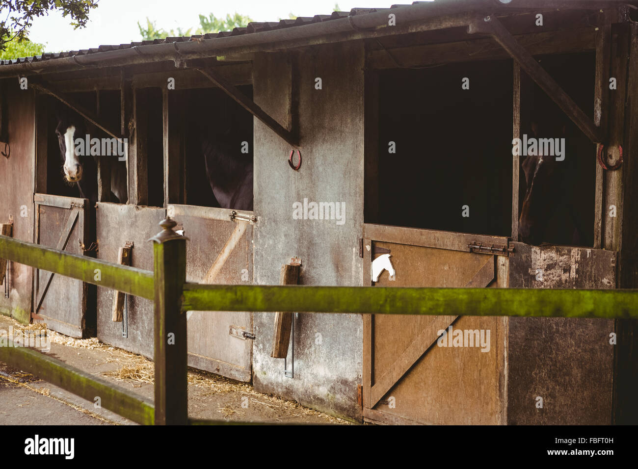 Stud farm view hi-res stock photography and images - Alamy