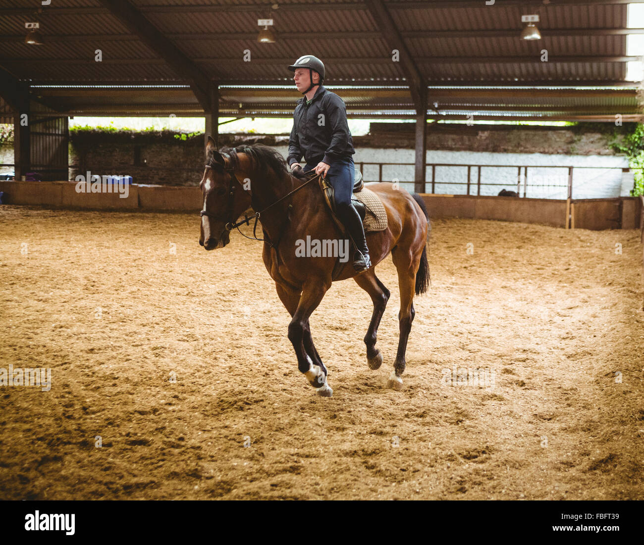 Female rider riding her horse Stock Photo - Alamy