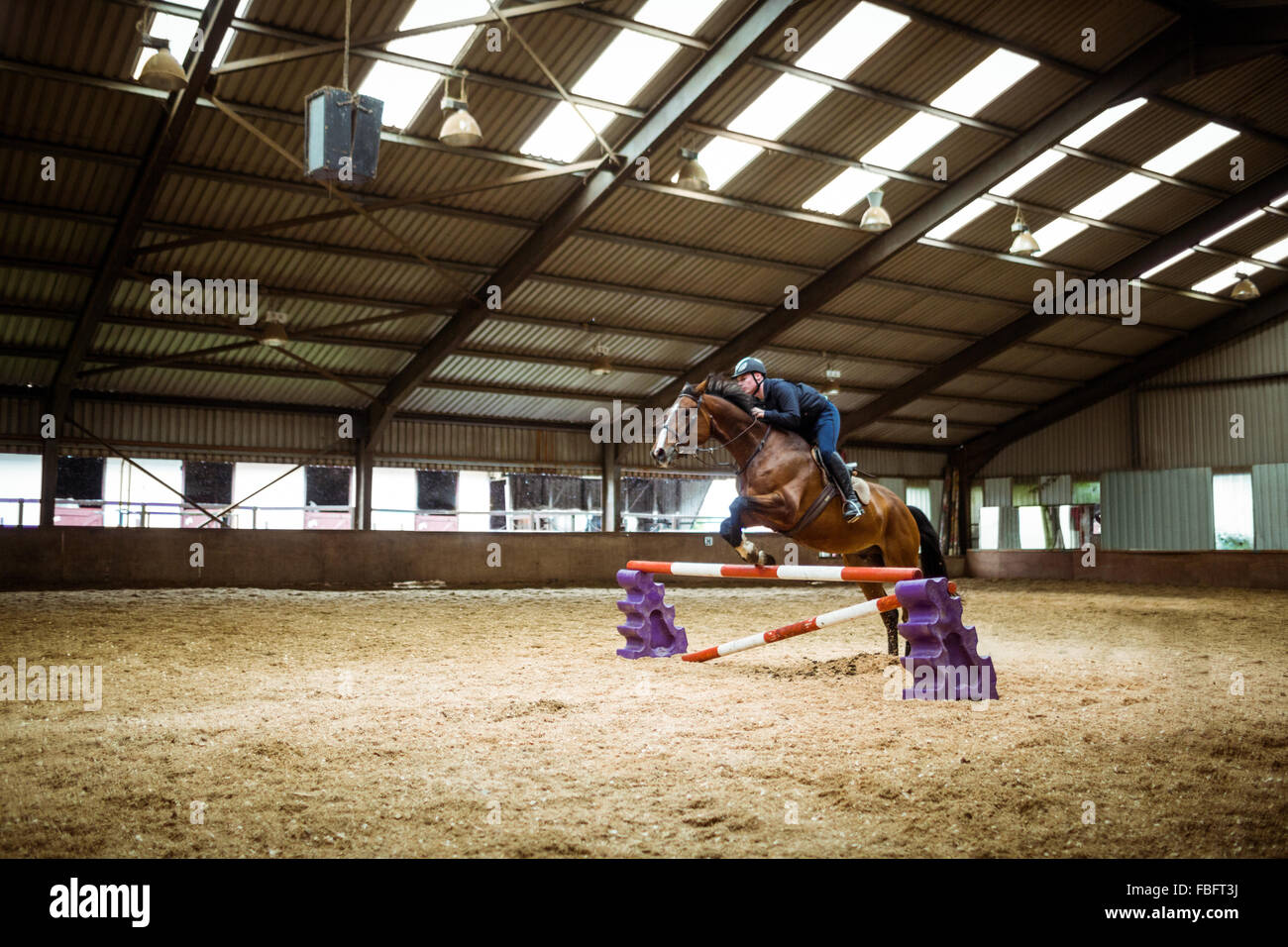 Female rider jumping barrier with horse Stock Photo - Alamy