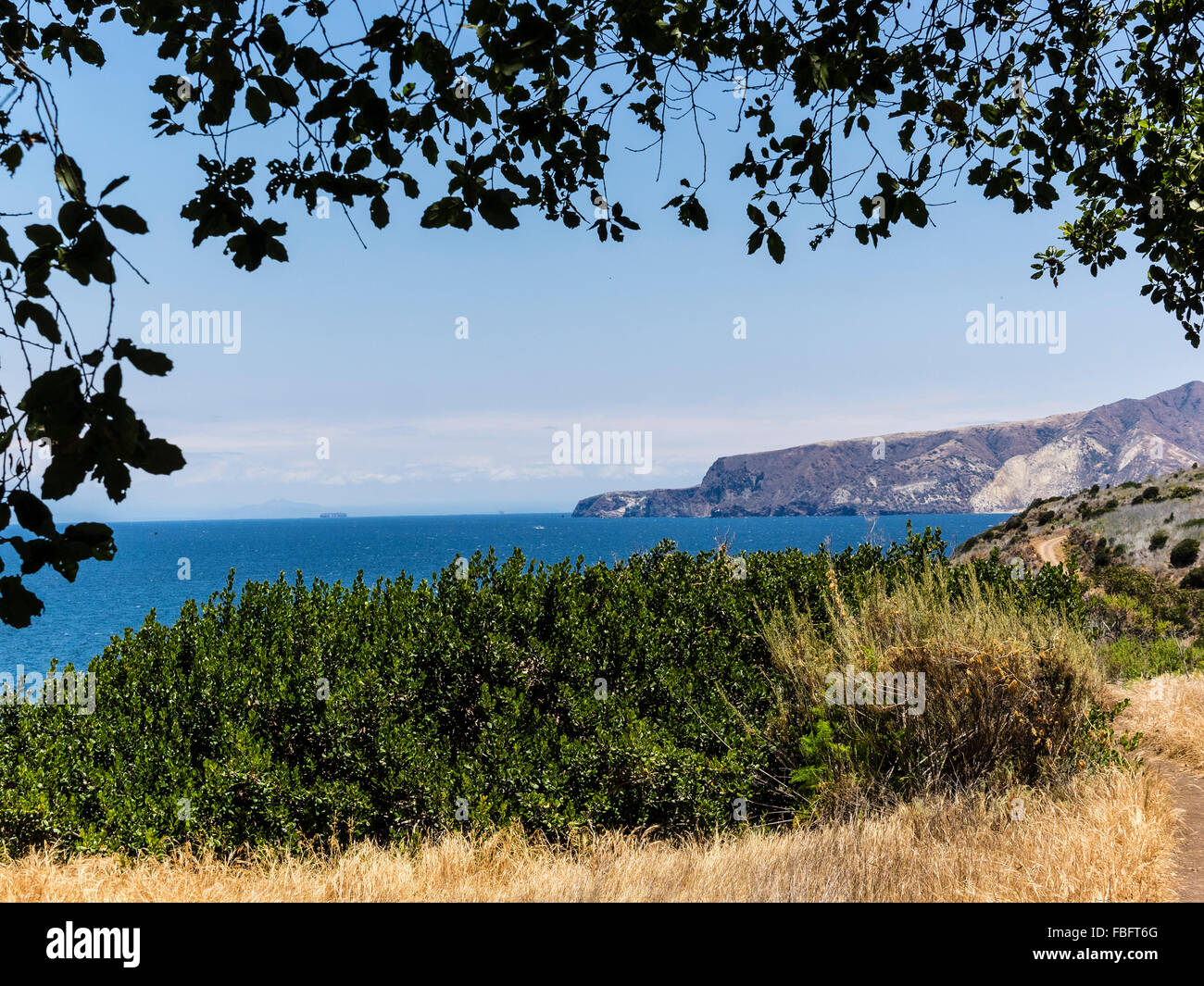 A beautiful view, framed by overhanging tree branches, looking out at ...