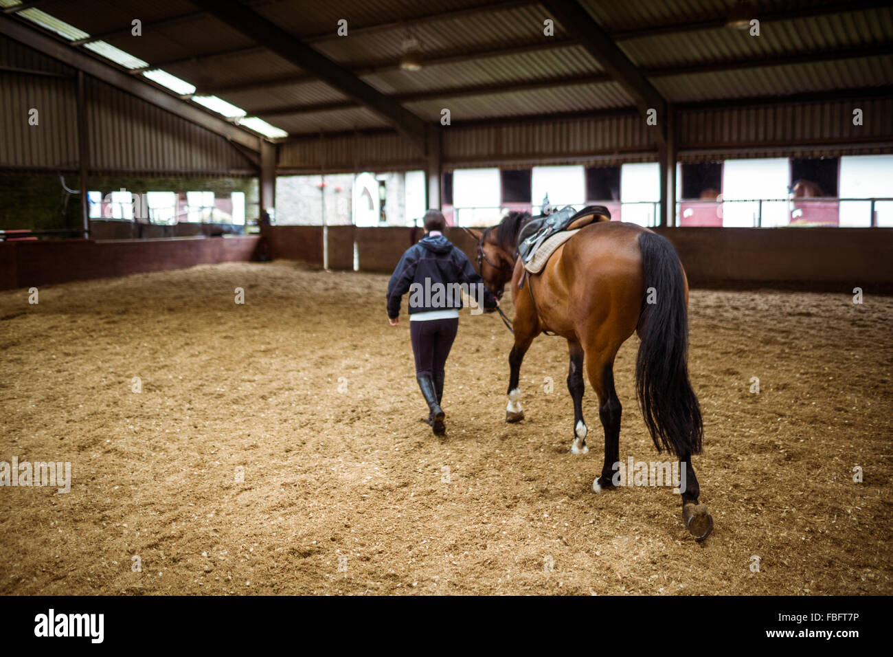 Female rider leading her horse Stock Photo - Alamy