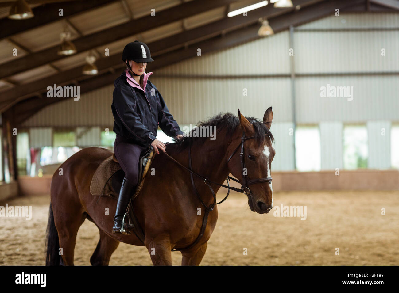 Female rider riding her horse Stock Photo - Alamy