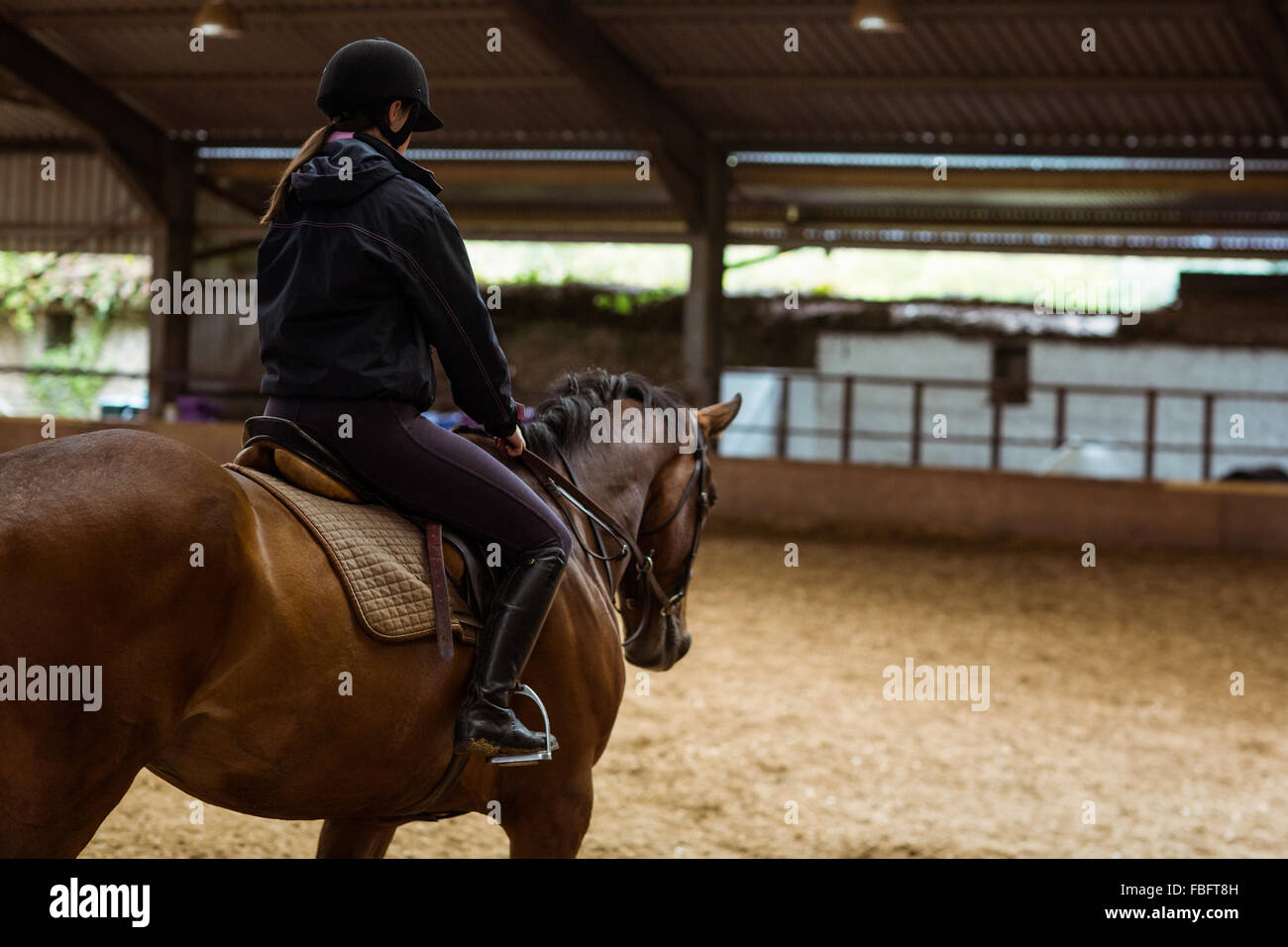 Female rider riding her horse Stock Photo - Alamy