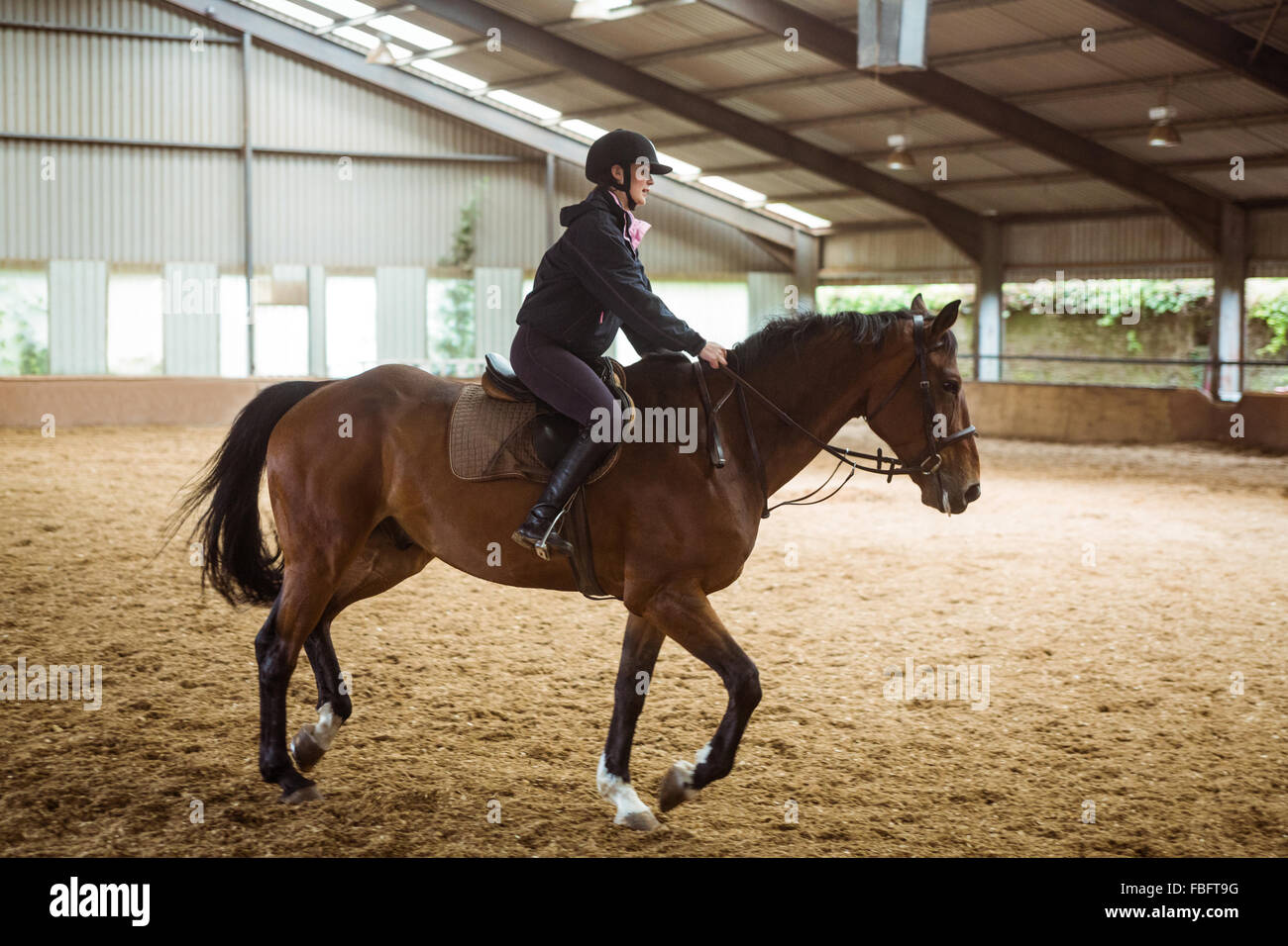 Female rider riding her horse Stock Photo - Alamy