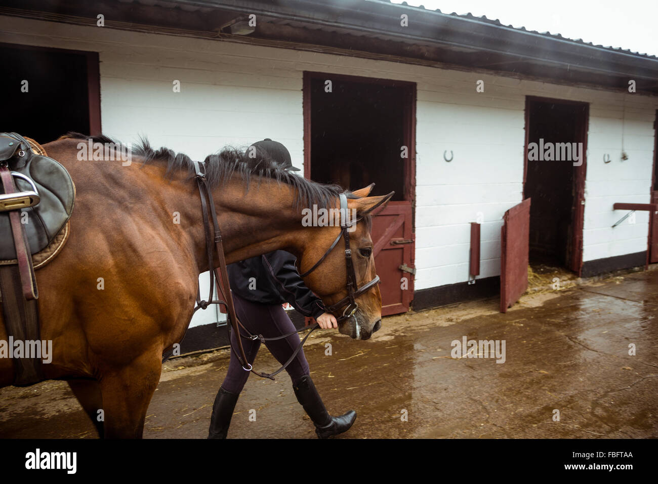 Female rider leading her horse Stock Photo - Alamy