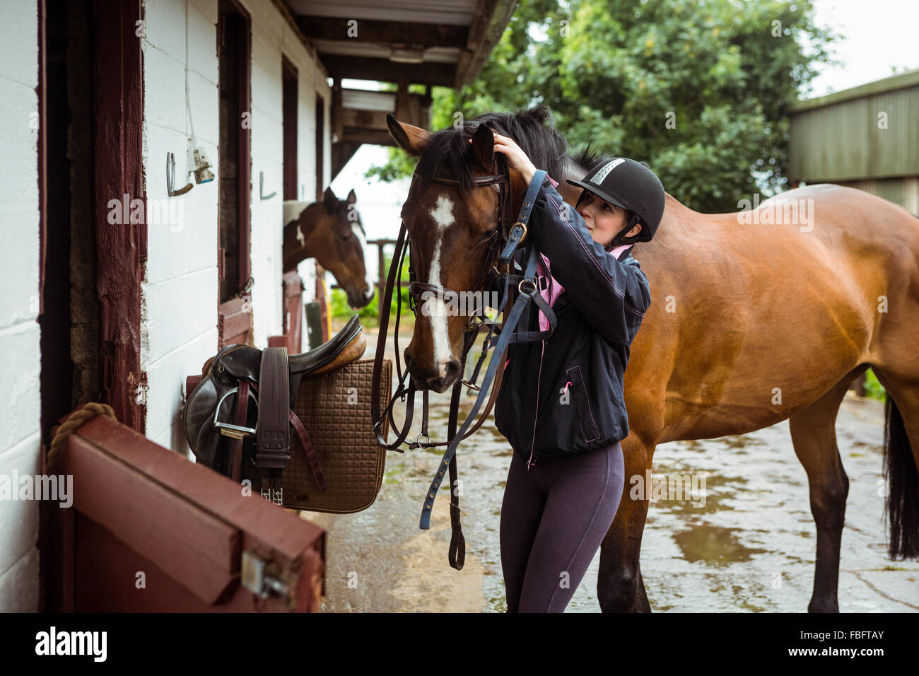 Female rider taking off reigns Stock Photo - Alamy