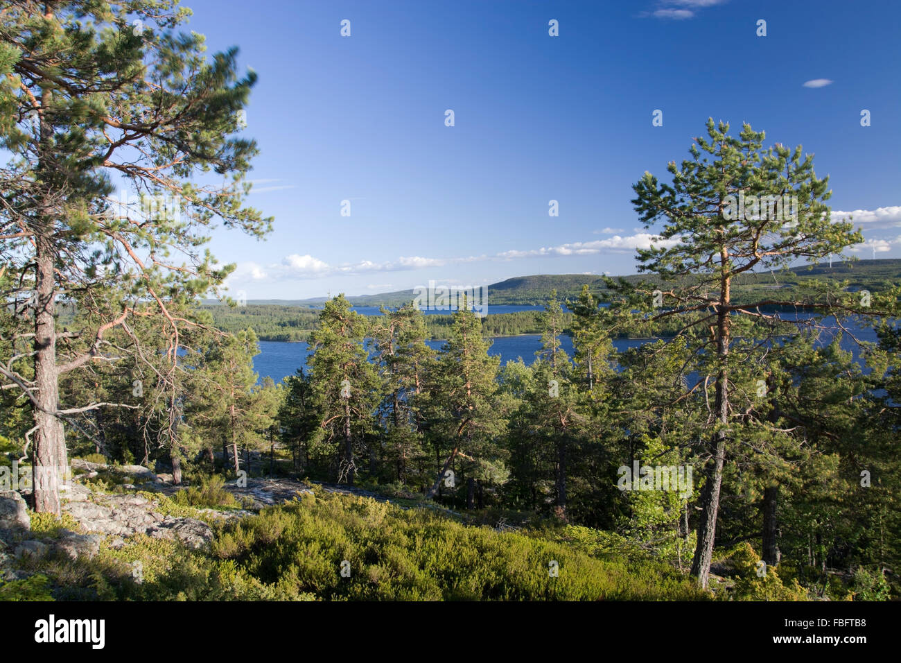 The Angerman (Swedish: angermanaelven) is one of Sweden's longest ...