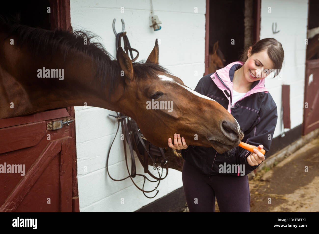 Giving carrot hi-res stock photography and images - Alamy