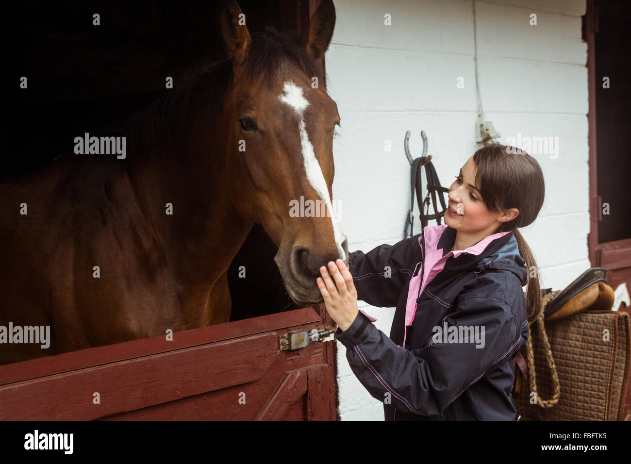 Pretty woman taking care of her horse Stock Photo - Alamy