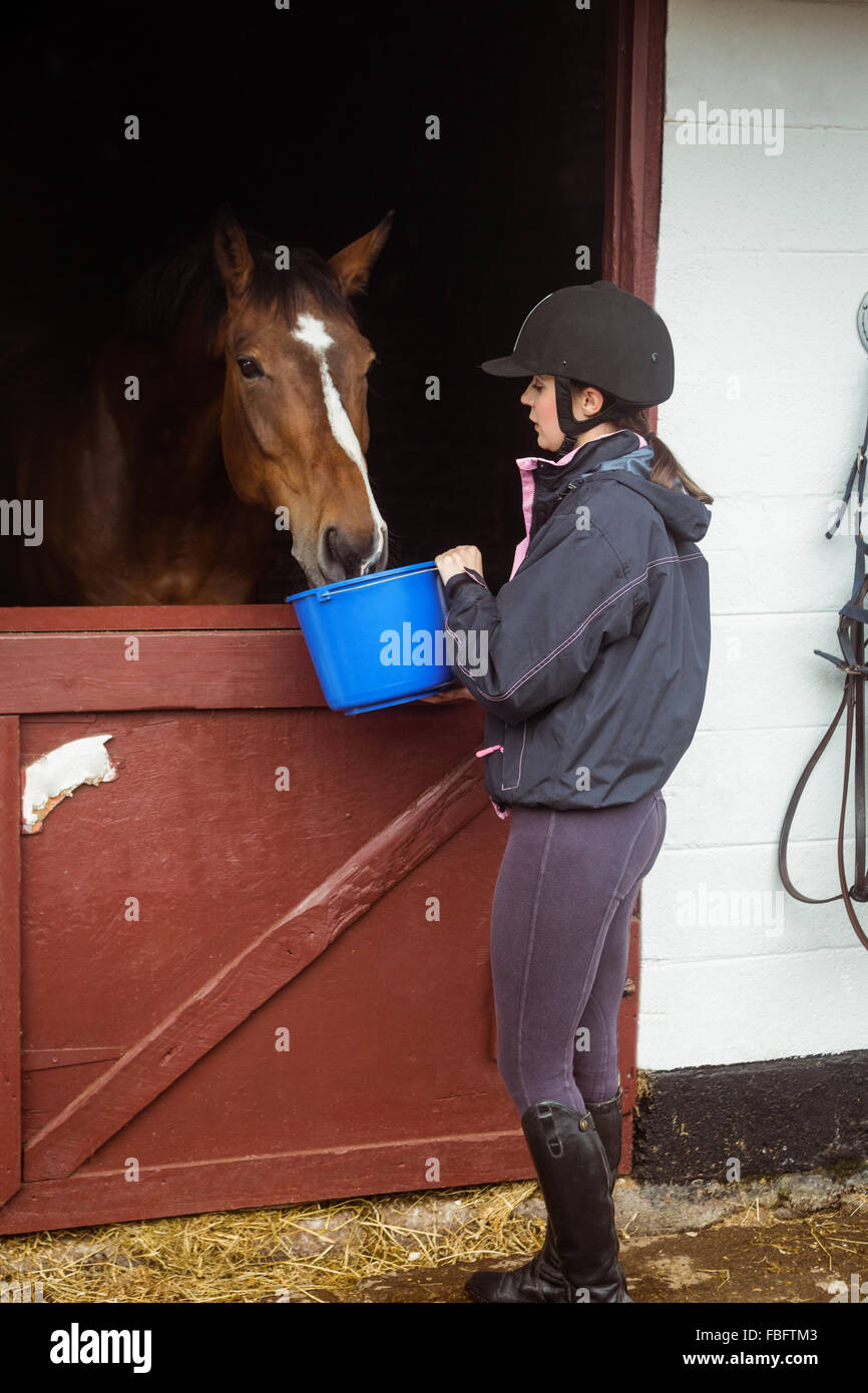 Female rider feeding her horse Stock Photo - Alamy
