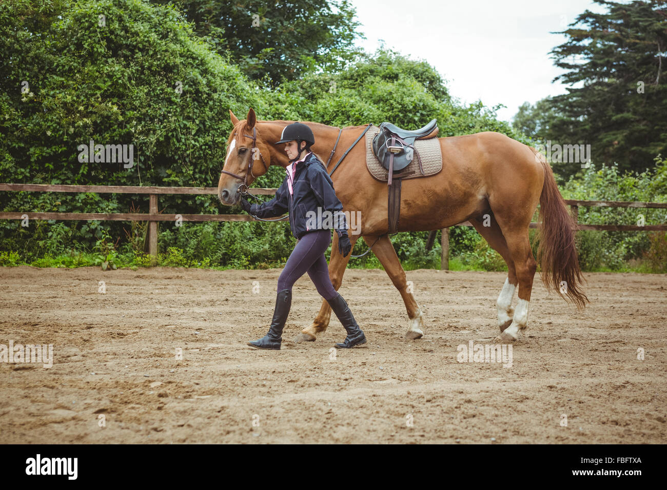 Female rider leading her horse Stock Photo - Alamy
