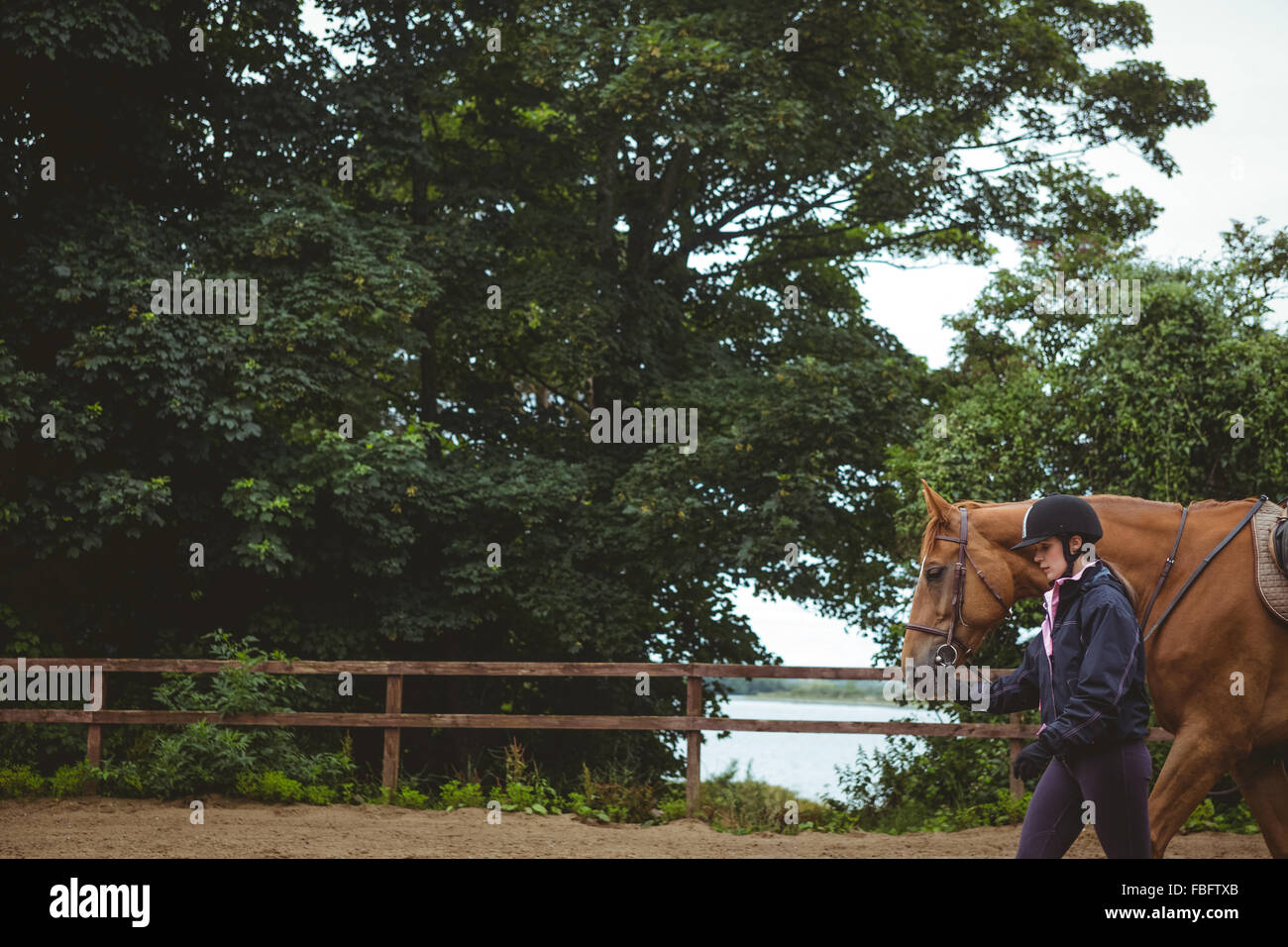 Female rider leading her horse Stock Photo - Alamy