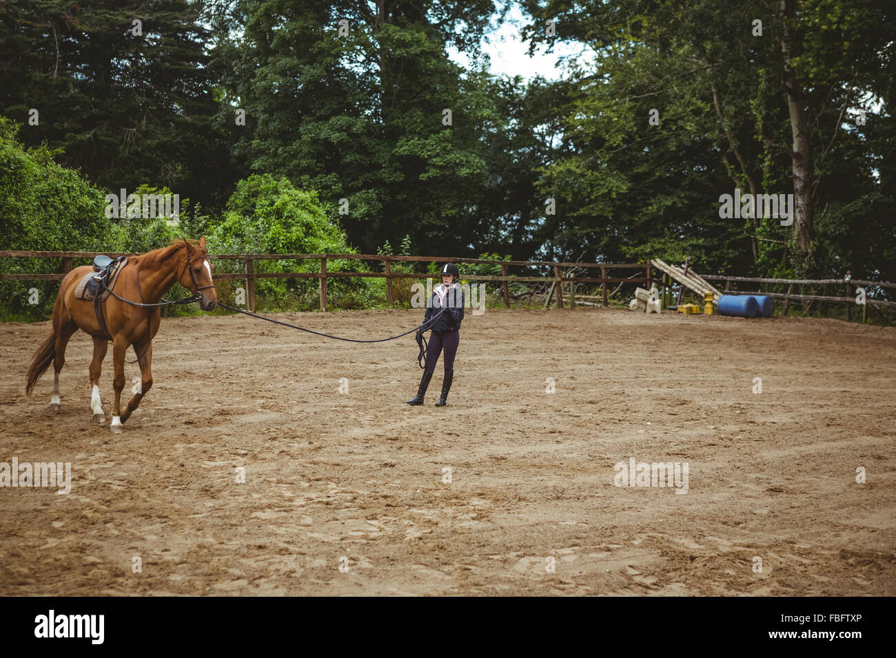 Female rider training her horse Stock Photo - Alamy