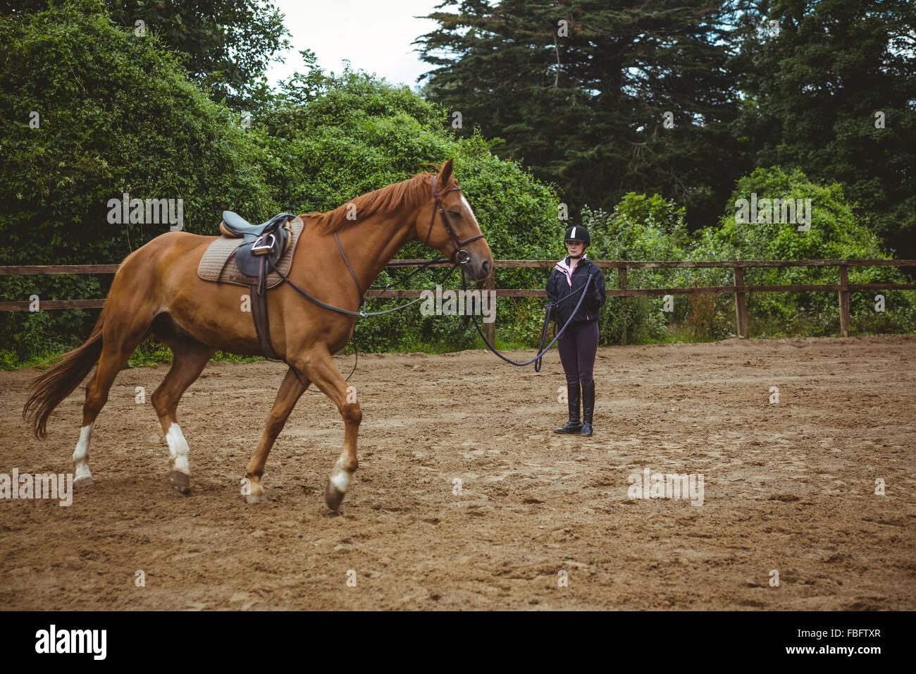 Female rider training her horse Stock Photo - Alamy