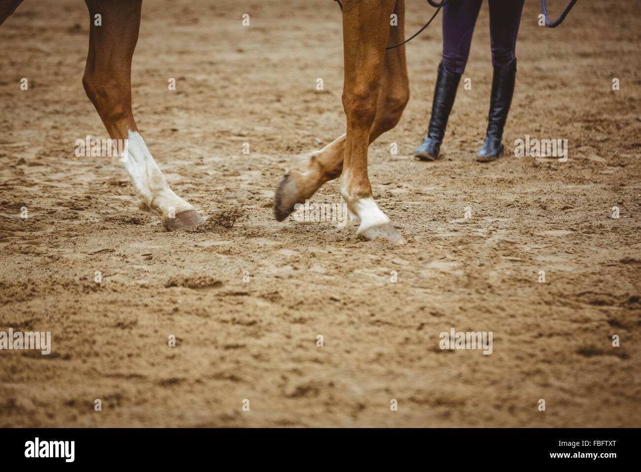 Rider training hi-res stock photography and images - Alamy
