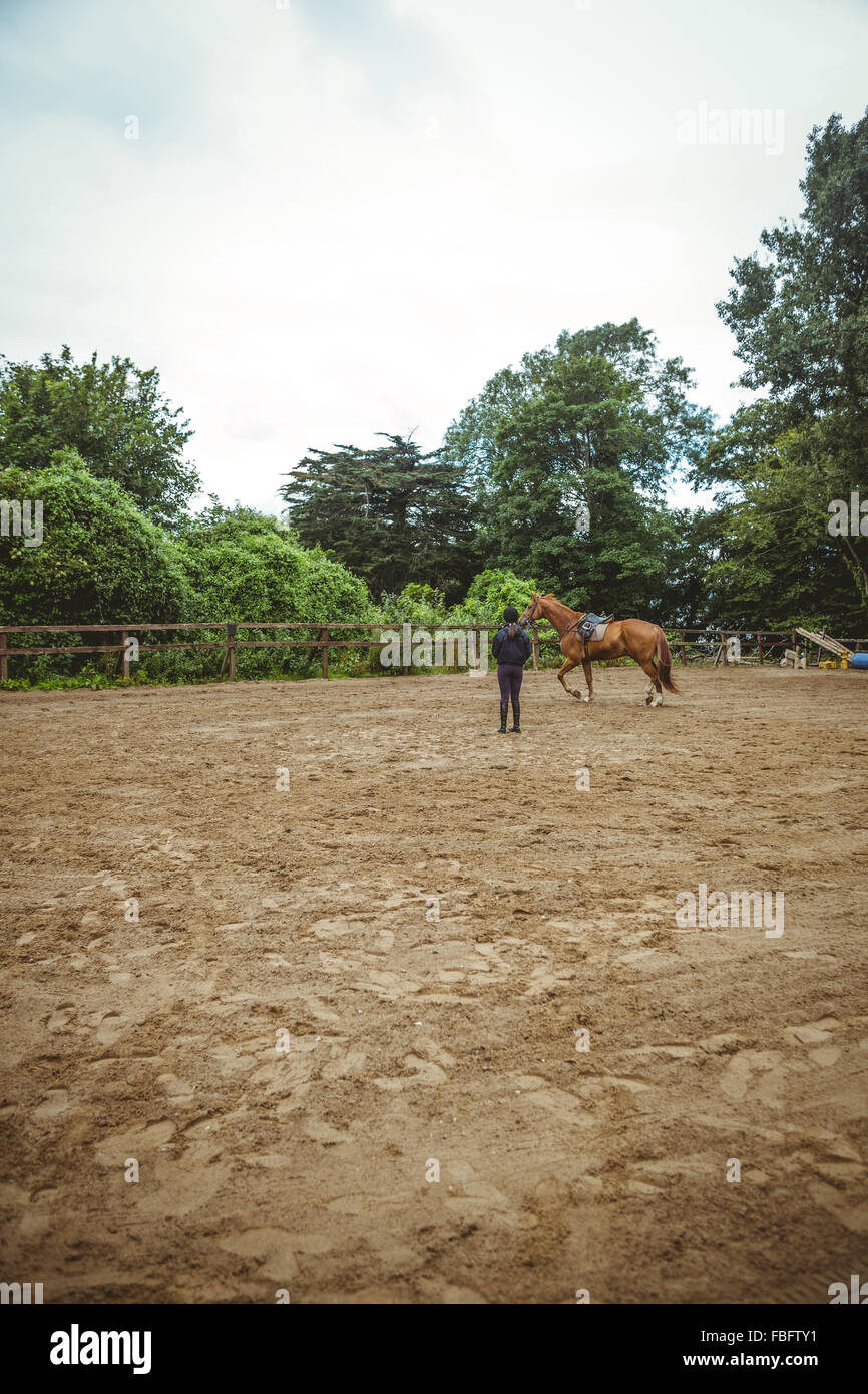 Female rider training her horse Stock Photo - Alamy