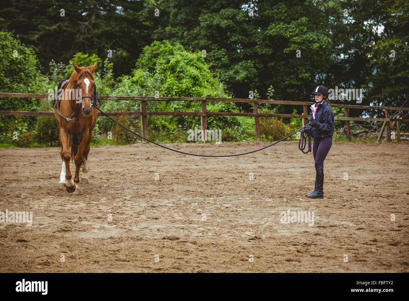 Female rider training her horse Stock Photo - Alamy