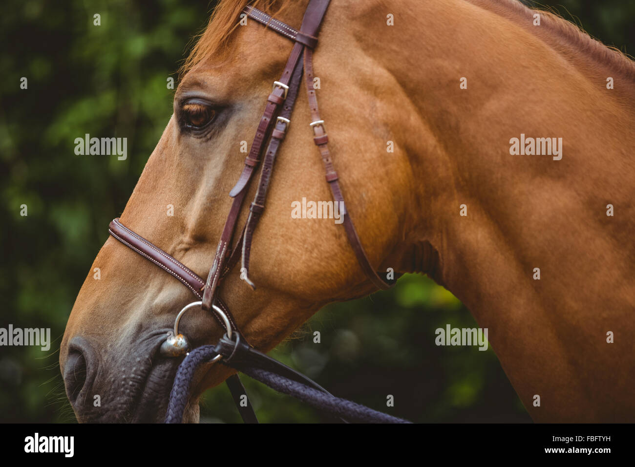 Thorough view hi-res stock photography and images - Alamy