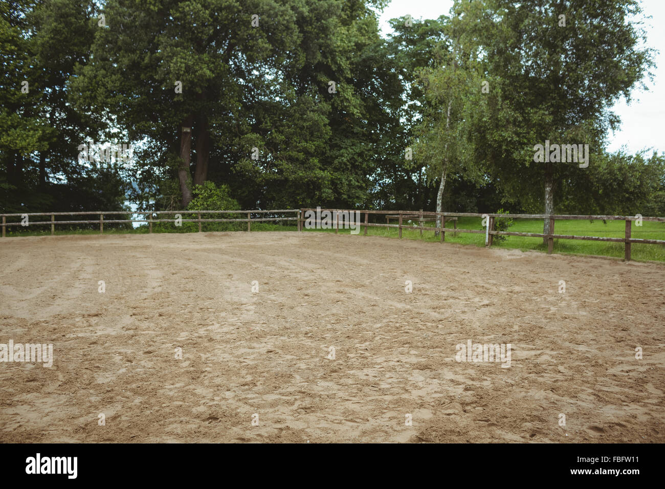 Paddock view hi-res stock photography and images - Alamy