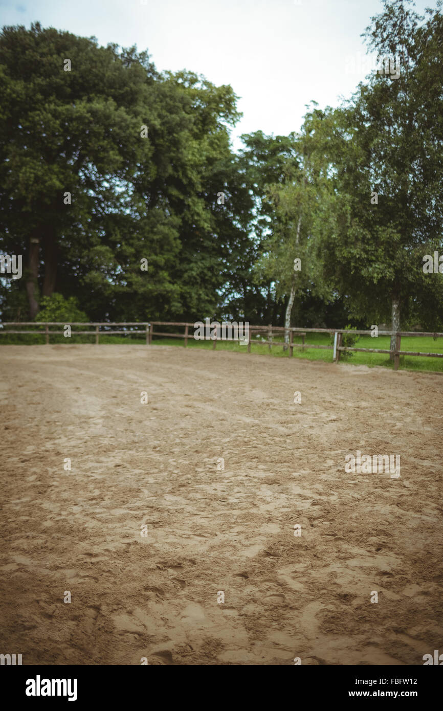 View of a paddock Stock Photo - Alamy