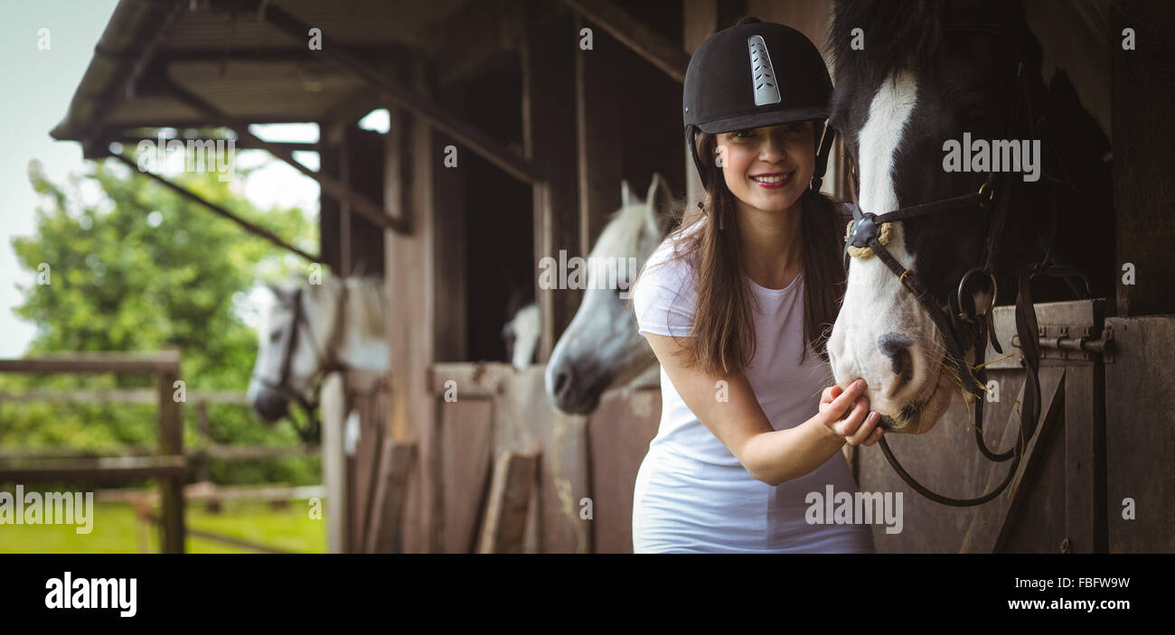 Female rider feeding her horse Stock Photo - Alamy