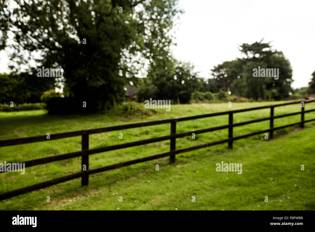 Field in view hi-res stock photography and images - Alamy