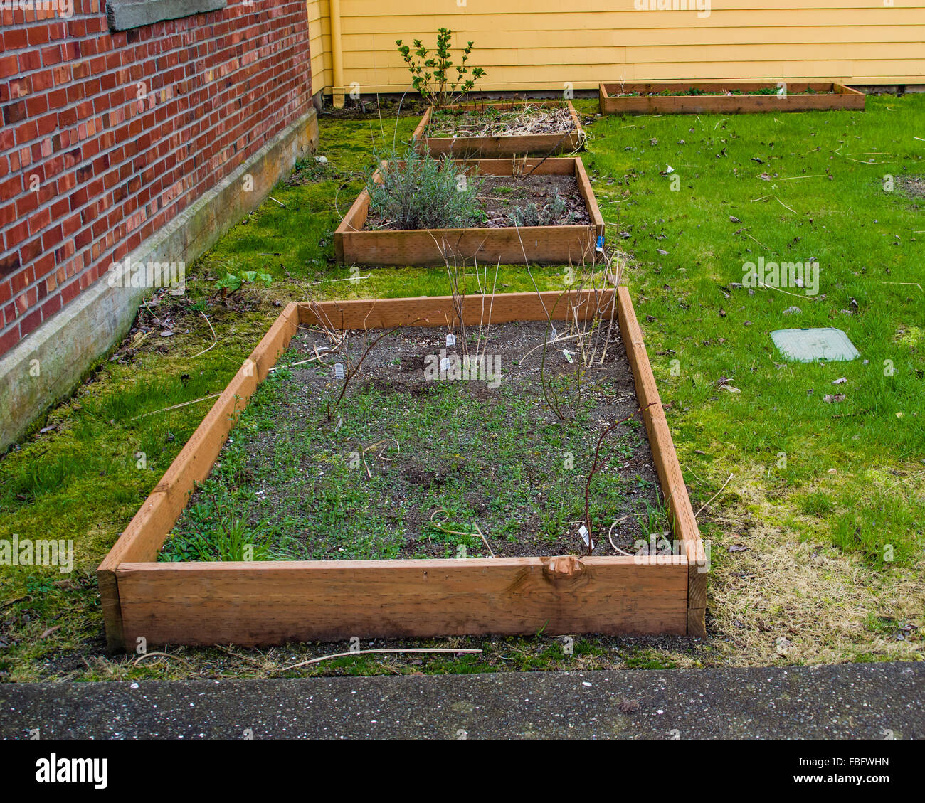 Cultivation bed hi-res stock photography and images - Alamy