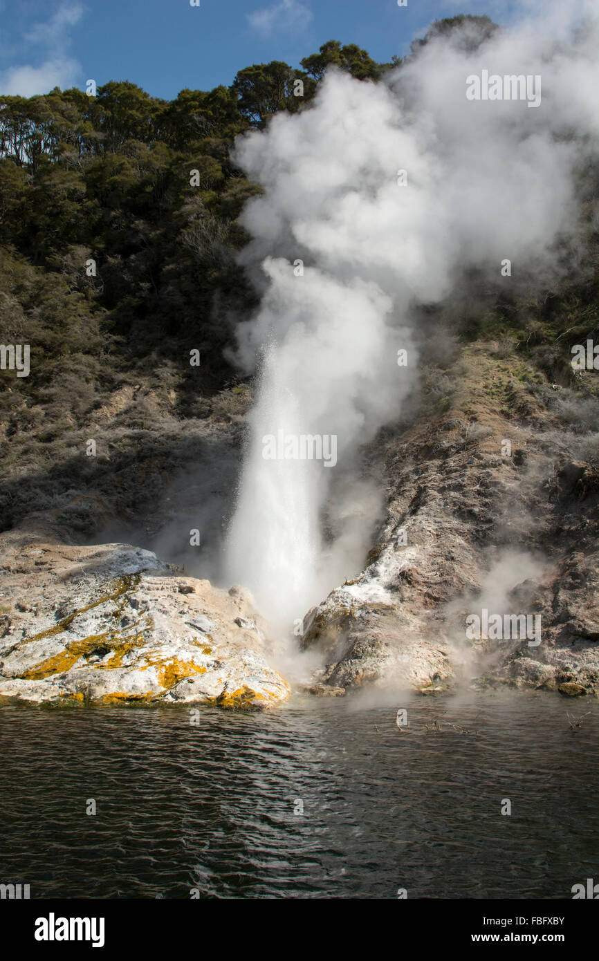 Rotomahana a geyser hi-res stock photography and images - Alamy