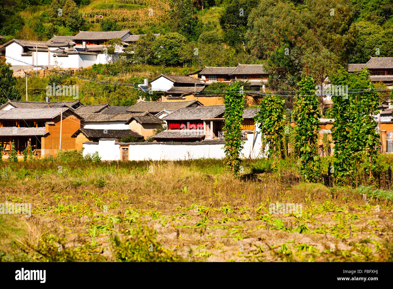 Old Theatre Inn,Village,surrounding countryside,Jiang River,Duanjiadeng ...