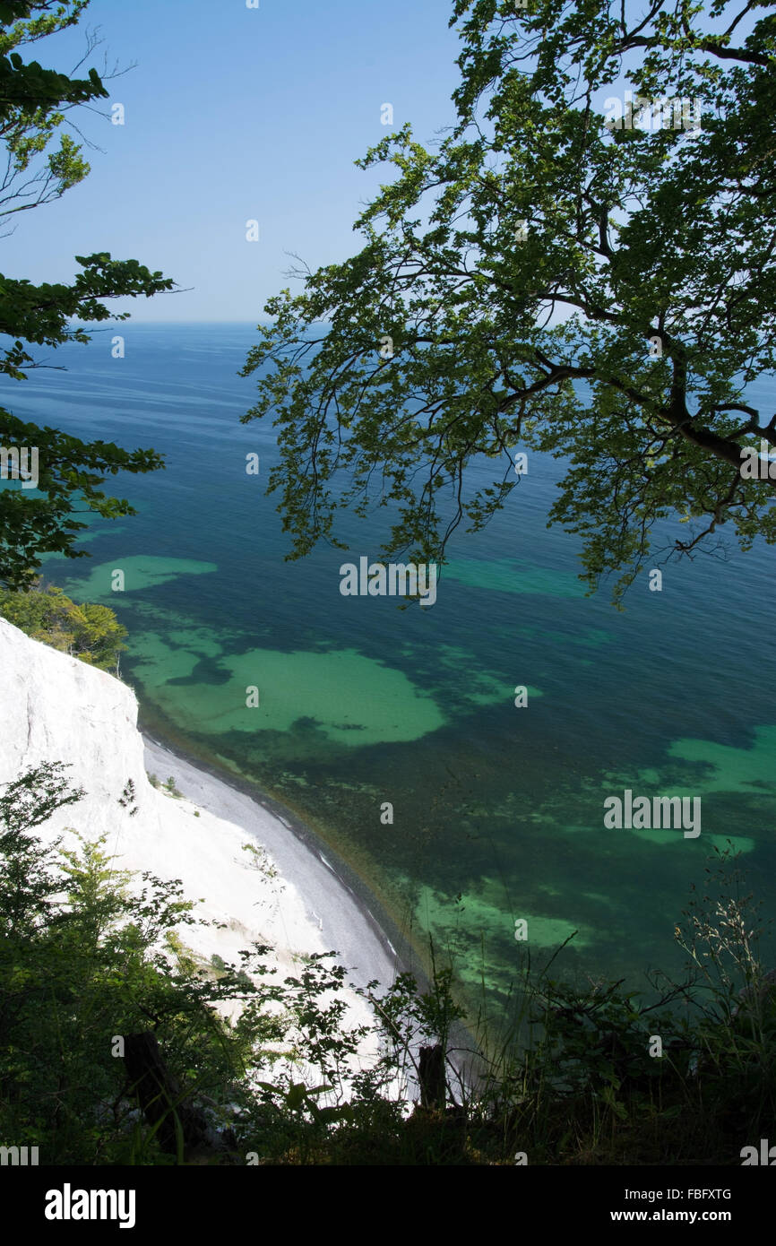 Mons Klint are a 6 km stretch of chalk cliffs along the eastern coast ...