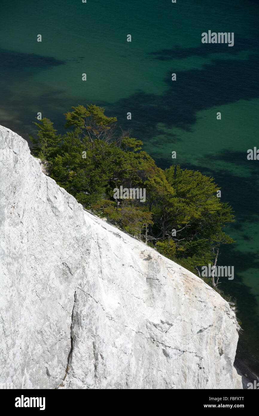 Mons Klint are a 6 km stretch of chalk cliffs along the eastern coast ...