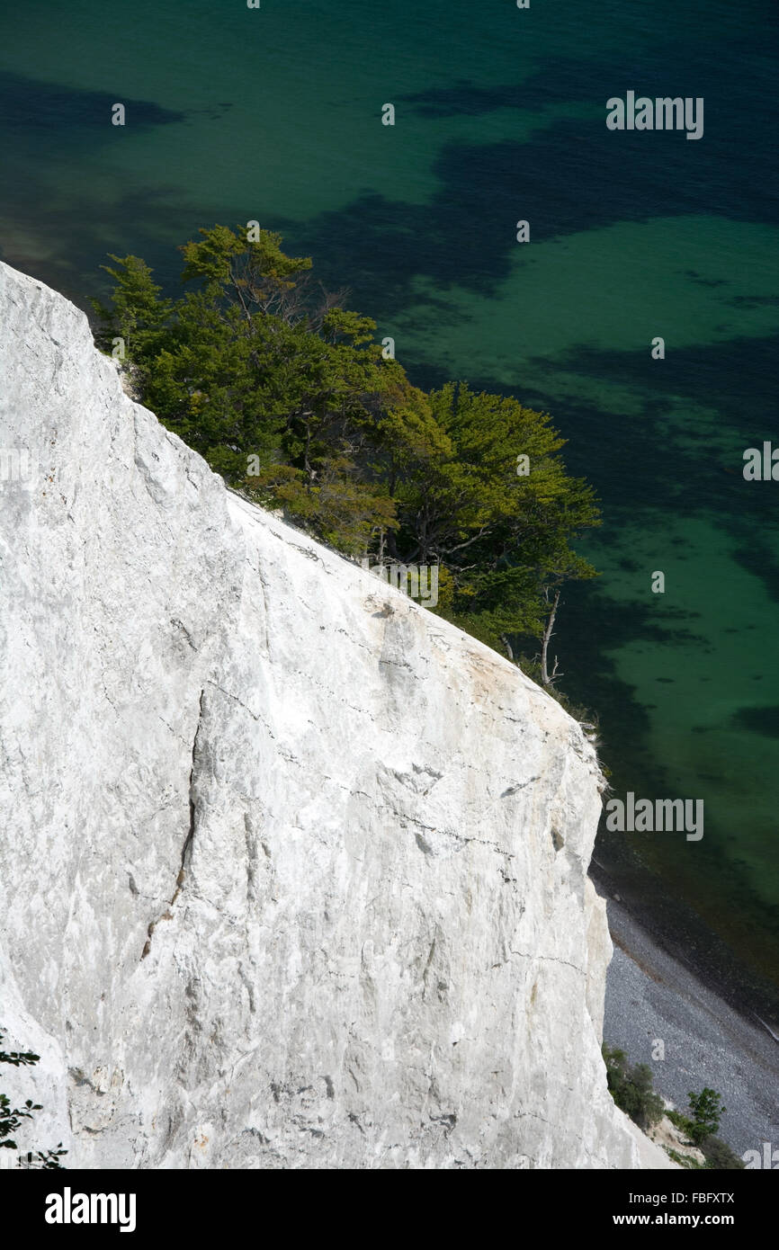 Mons Klint are a 6 km stretch of chalk cliffs along the eastern coast ...