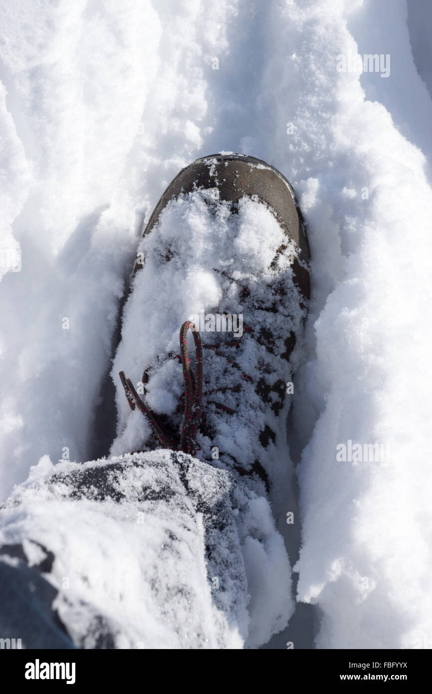 Photo of a shoe stepped in snow Stock Photo - Alamy