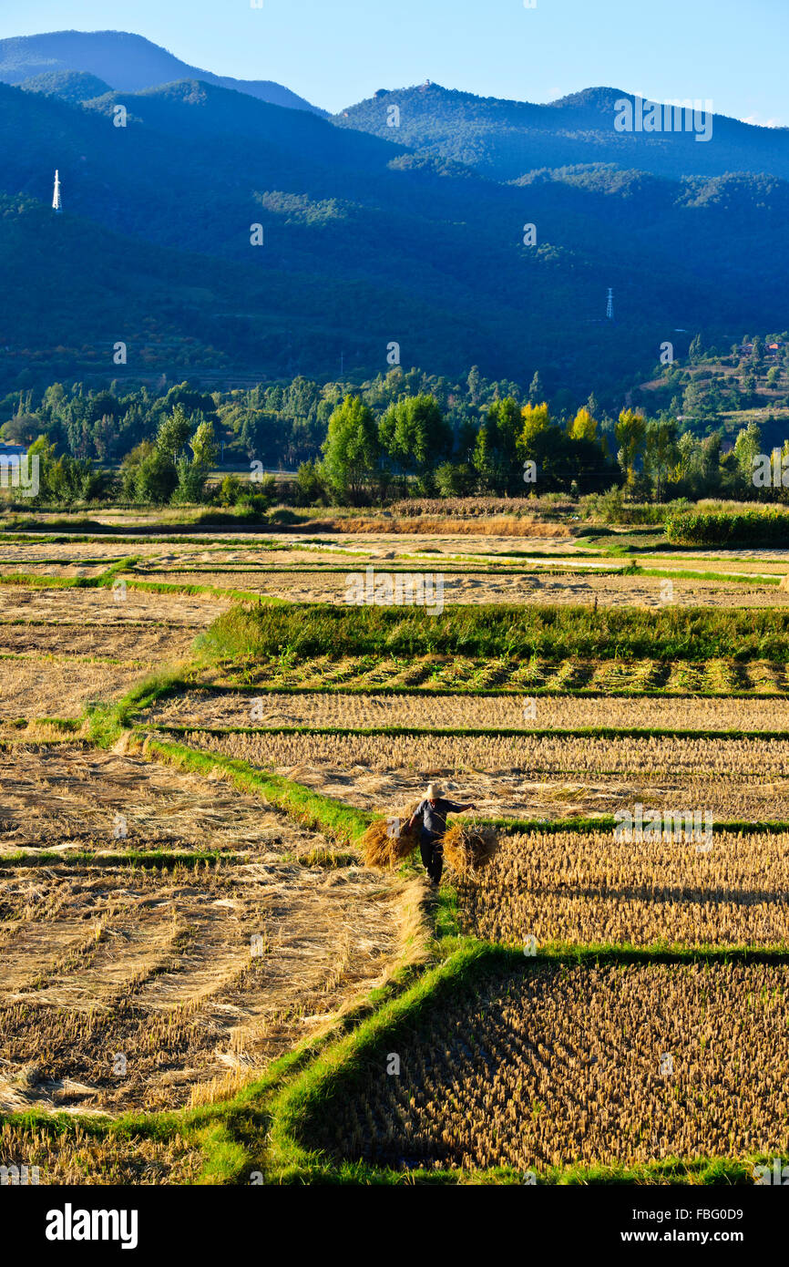 Old Theatre Inn,Village,surrounding countryside,Jiang River,Duanjiadeng ...