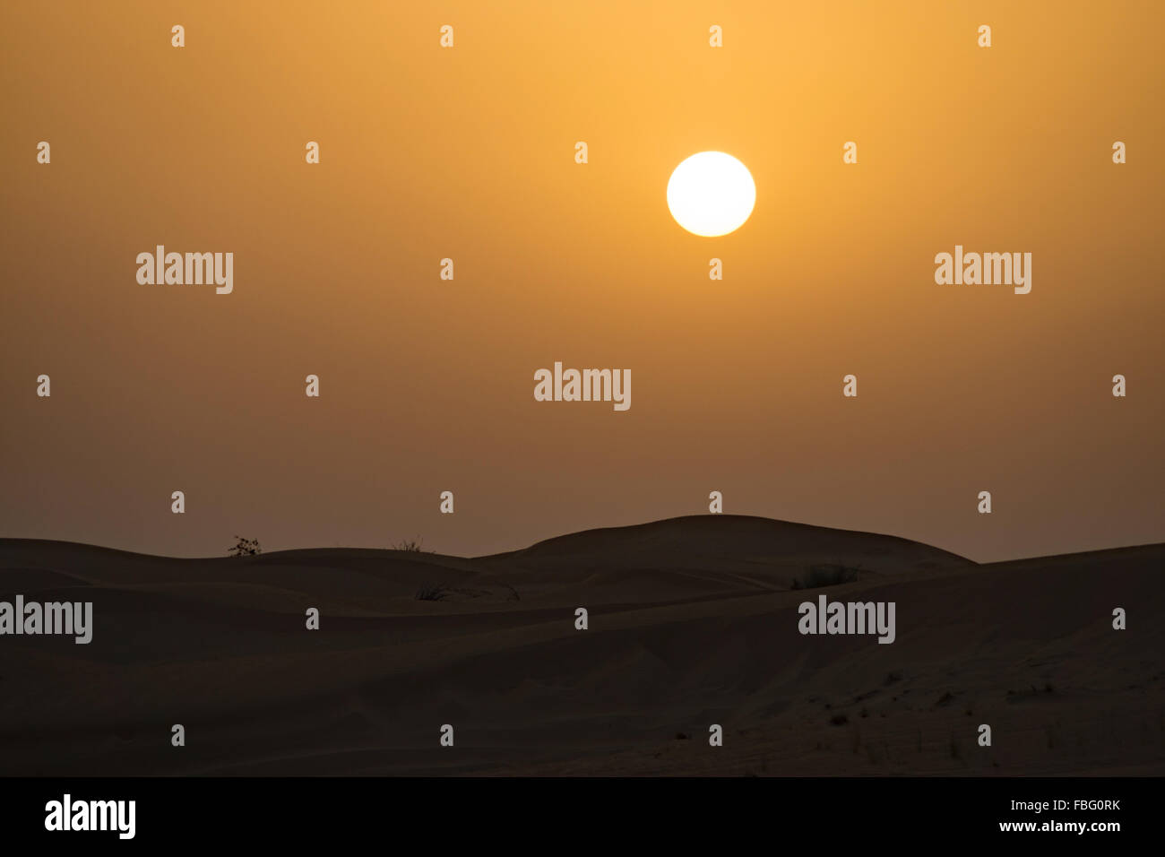 Dunes in the desert of the United Arab Emirates Stock Photo - Alamy