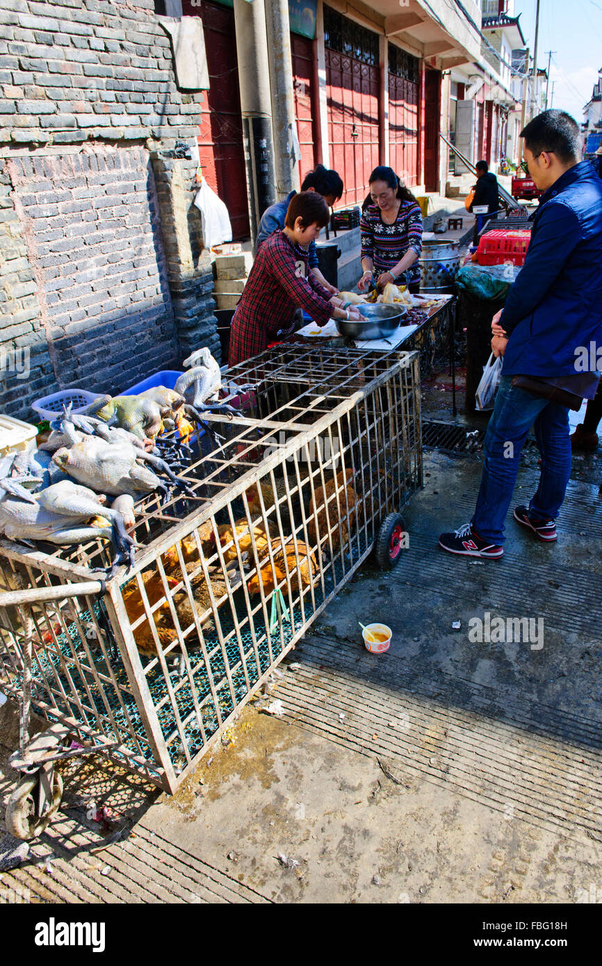 Chinese medicinal ingredients yunnan province hi-res stock photography ...