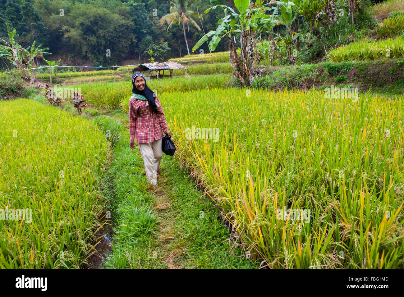 Sundanese woman village hi-res stock photography and images - Alamy