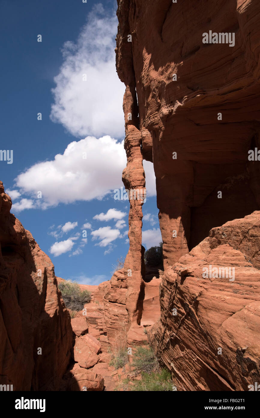 Edmaiers Secret are fields of socalled Brainrocks, they are located at ...