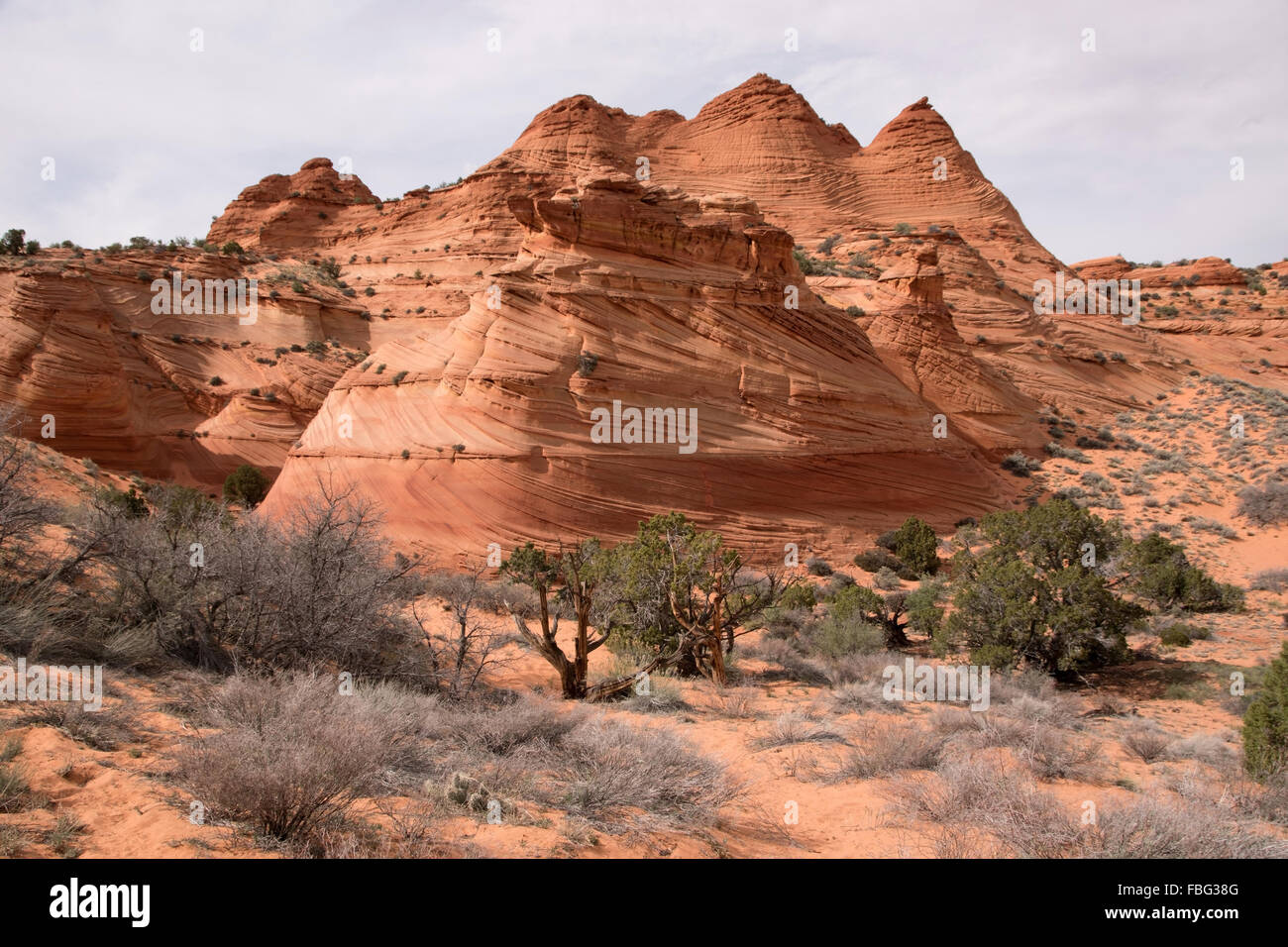 Coyote Buttes are mountains located mainly in the Vermilion Cliffs ...