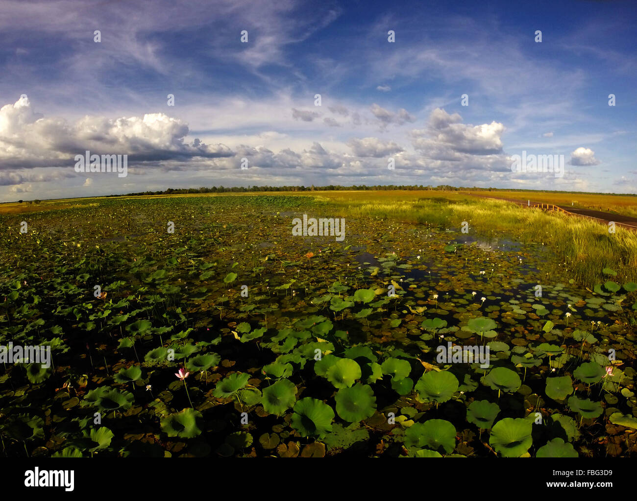 Kakadu aerial hi-res stock photography and images - Alamy