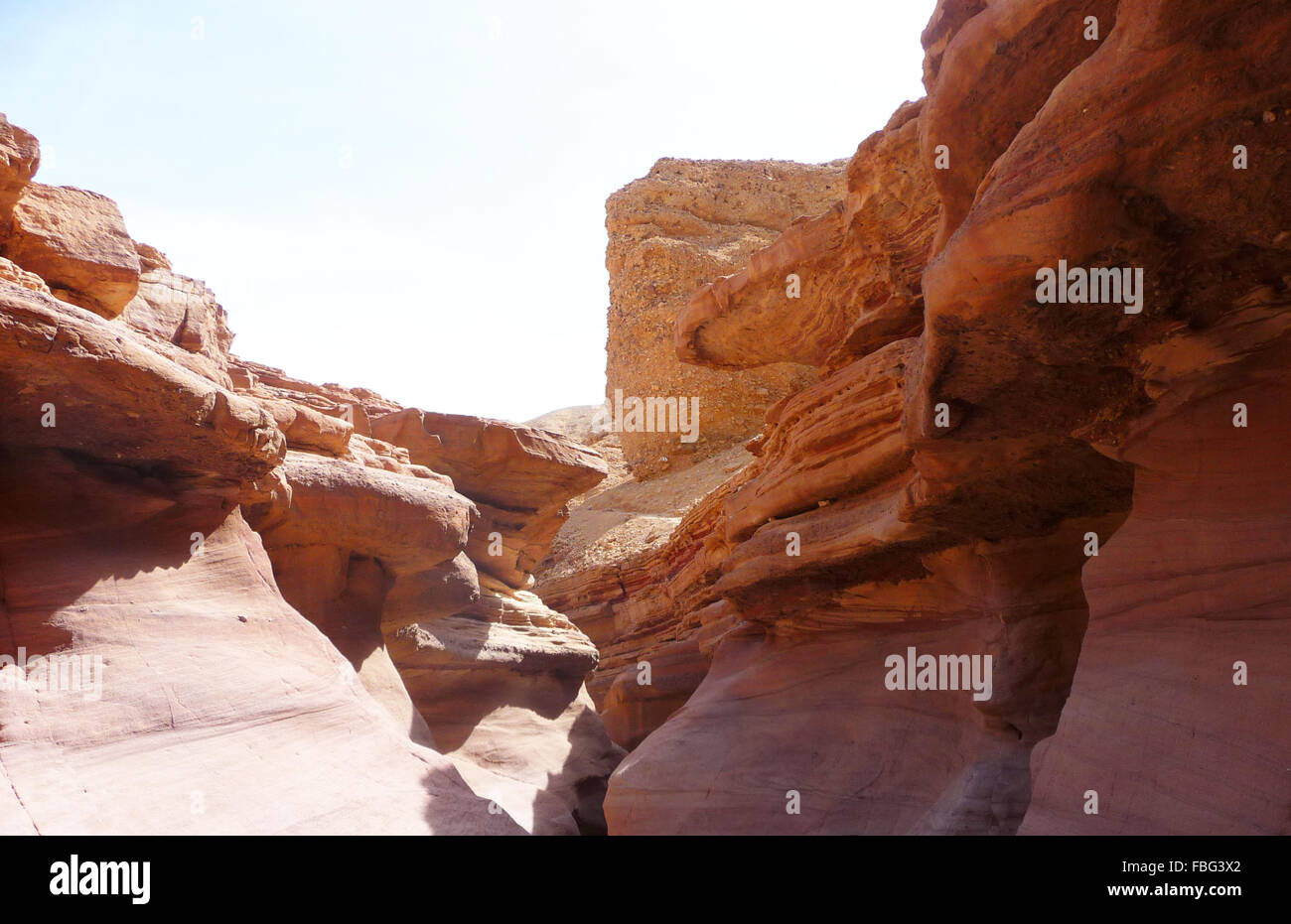 Beautiful colors and lighting in the narrows of the Red Canyon in the ...