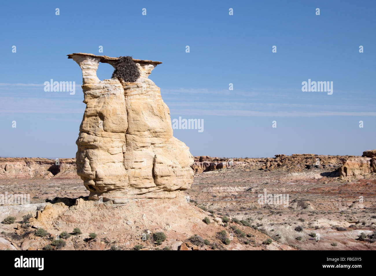Arizona desert eagle hi-res stock photography and images - Alamy