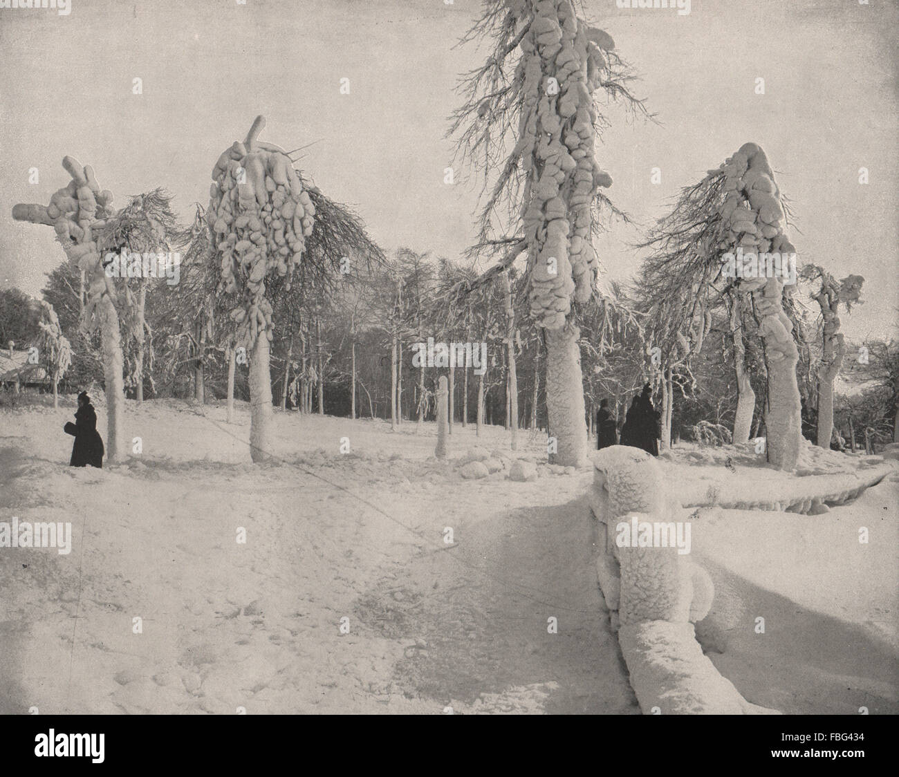 Winter in Prospect Park, Niagara, New York. Trees covered in Ice & Snow ...