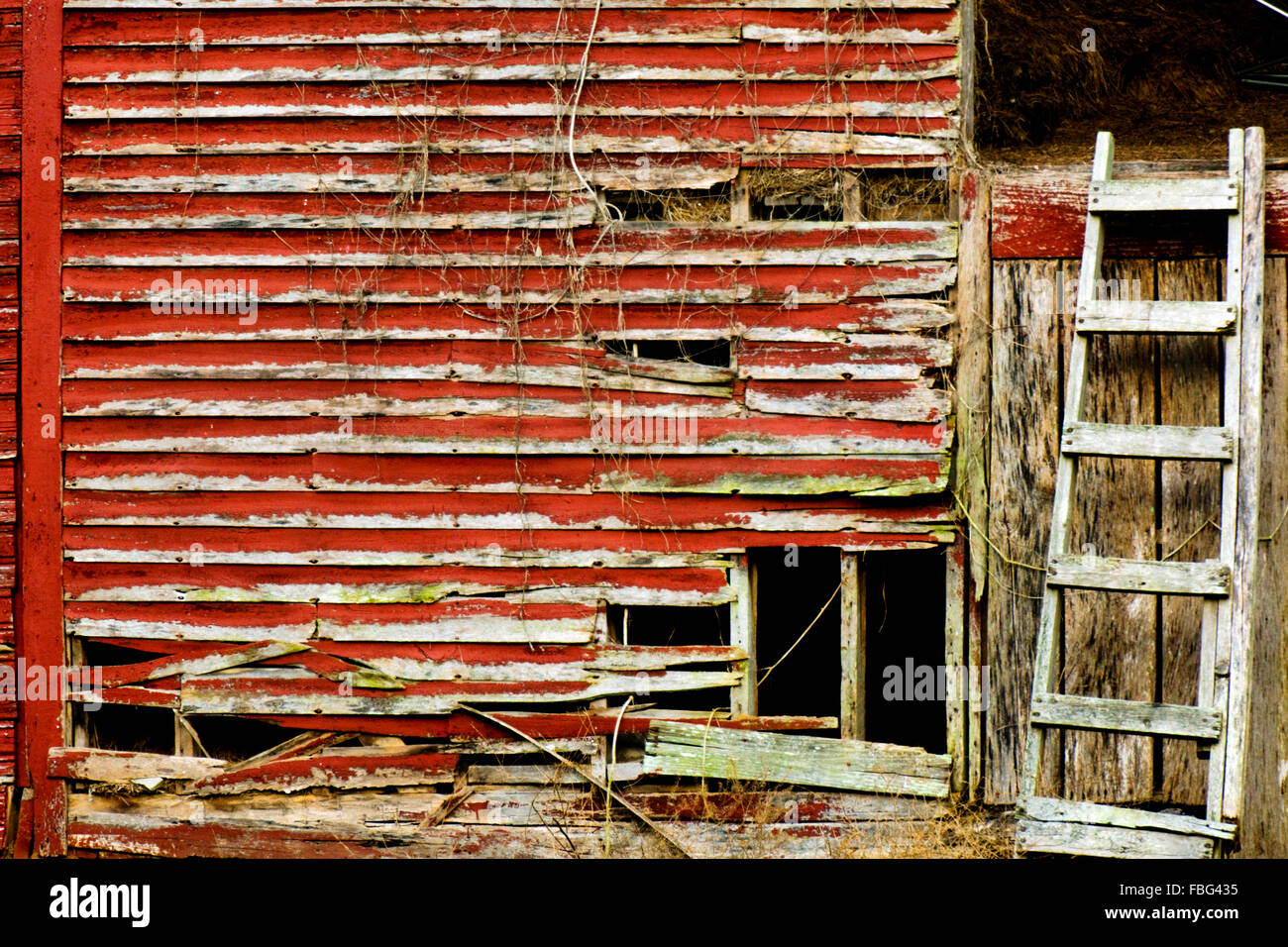 Rustic, well worn side of a red barn in Marion County, Indiana Stock ...