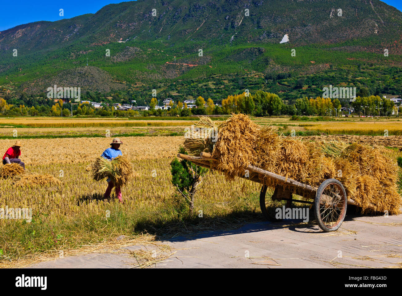 Old Theatre Inn,Village,surrounding countryside,Jiang River,Duanjiadeng ...
